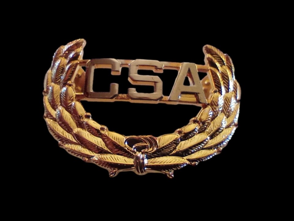 U.S CIVIL WAR C.S.A CAP BADGE INSIGNIA HAT PIN CSA CONFEDERATE STATES ...