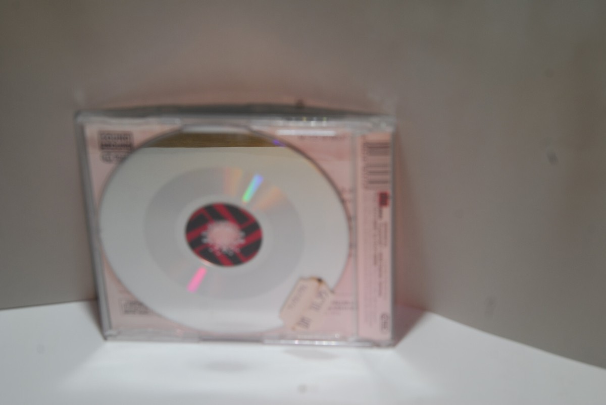 Kim Schenke's Instagram, Twitter & Facebook on IDCrawl