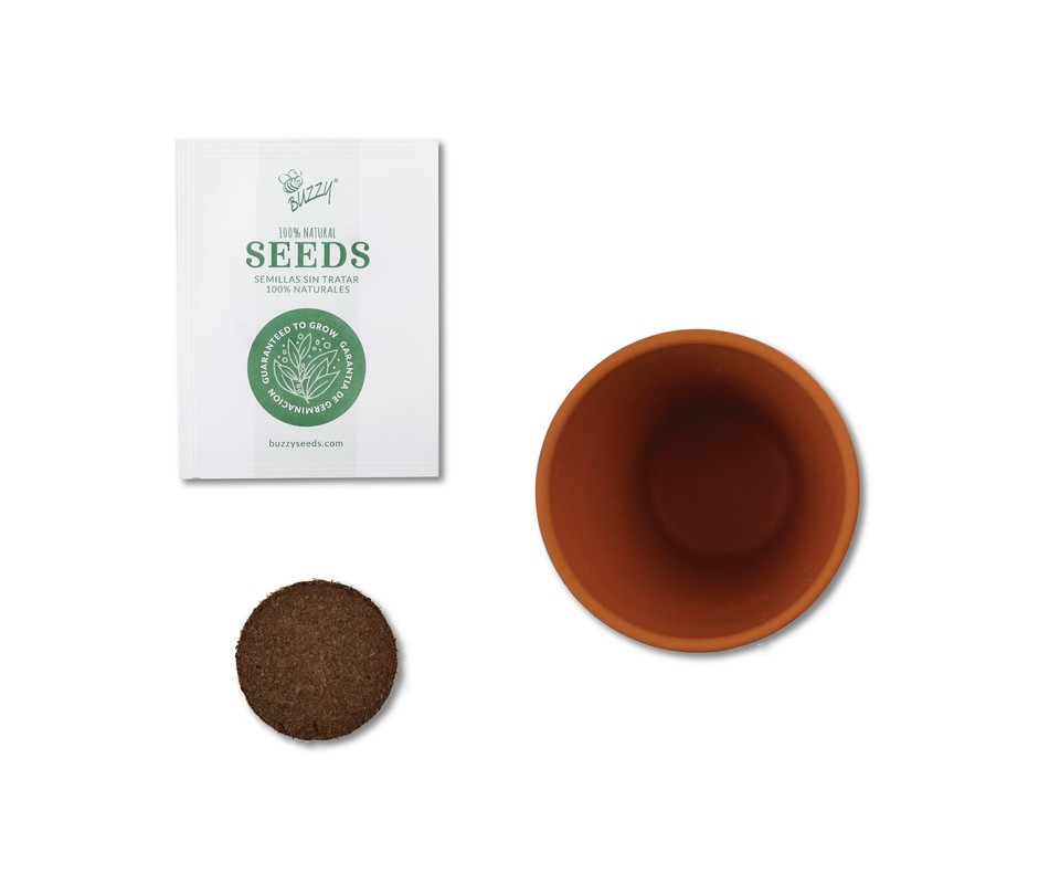 Seeds Terracotta Mini Grow Pots Flower Plant Starter Kit – Love ...