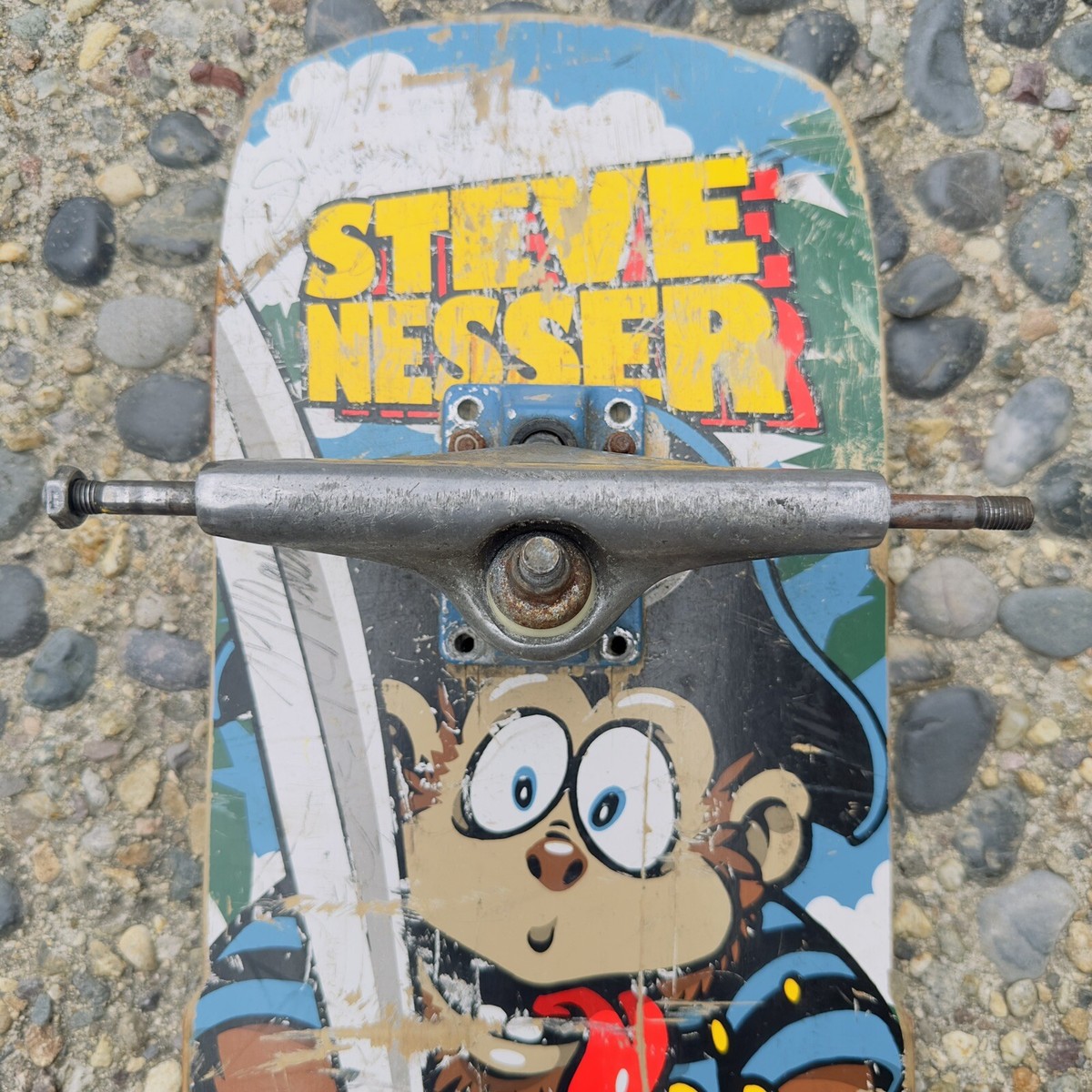 Vintage 90s Steve Nesser Birdhouse Skateboard | eBay Vintage 90s Steve Nesser Birdhouse Skateboard | eBay
