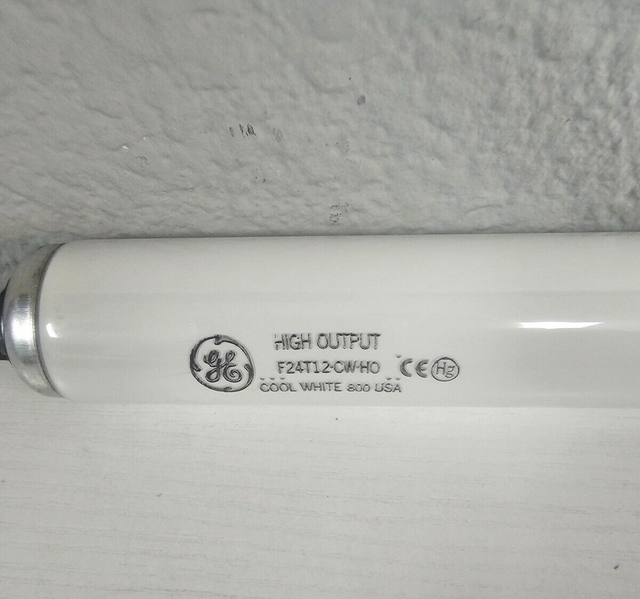 GE 10261 - F24T12/CW/HO Straight T12 Fluorescent Tube Light Bulb for ...