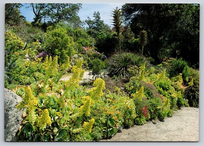 Postcard England Isles of Scilly Tresco Gardens c1998 23S | eBay