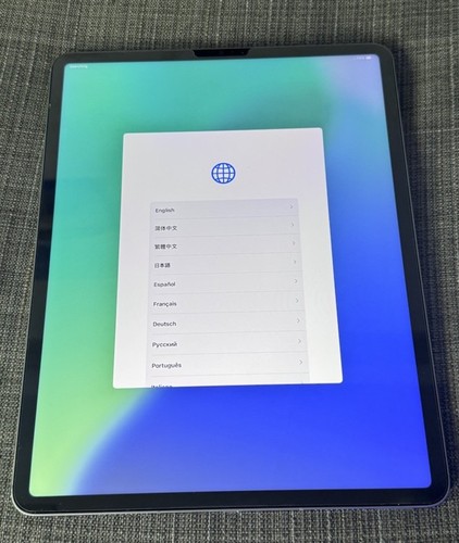 Apple iPad Pro 6th Gen A2764 12.9" Wi-Fi+LTE 256GB Space Gray -Mint ...