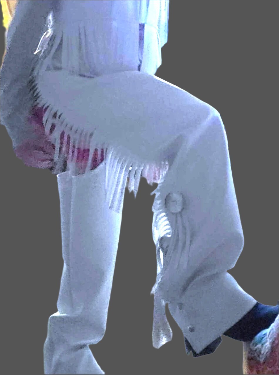 Cowboy Carter Fringe Leather Chaps, Top, Hat, Beyonce, Concert | eBay