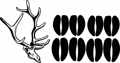 elk set tracks / hoof print decal /set custom elk/ footprint set | eBay