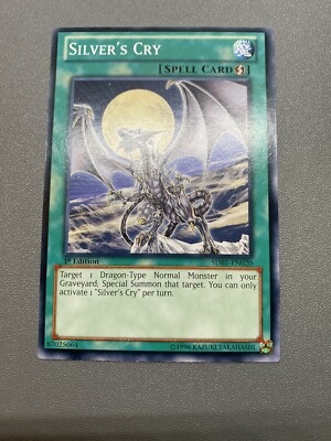 Yu-Gi-Oh! Silver’s Cry Common 1st Edition SDBE-EN020 LP | eBay