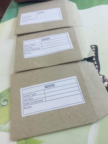 50Pcs Seed Saving Envelopes, Bulk 2.5x3 Empty Paper Packets Seeds container pack | eBay