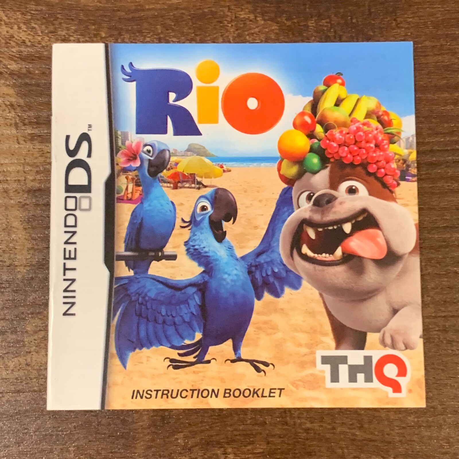 Rio Nintendo DS Gameboy Instruction Manual Only | eBay