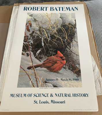 Robert Bateman Winter Cardinal St Louis Mo 1980 Art Museum Poster | eBay