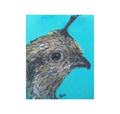 Original Handmade Nature Artwork Pastel Quail Bird Face Small Wildlife ...