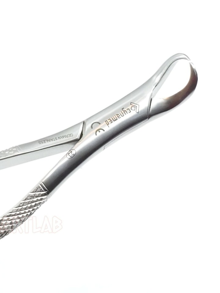 2 GERMAN COW HORN LOWER MOLAR DENTAL TOOTH EXTRACTION EXTRACTING ...