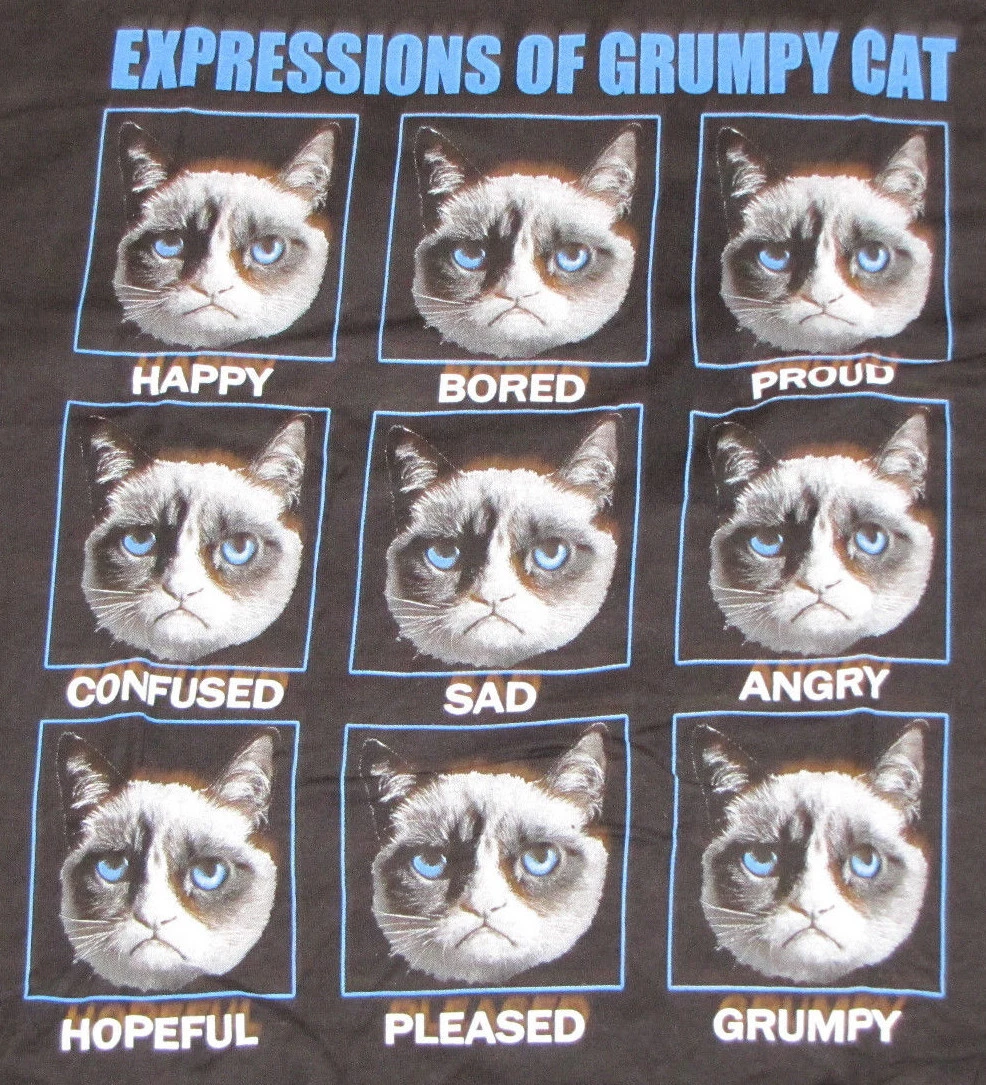 Grumpy Cat Happy Thursday