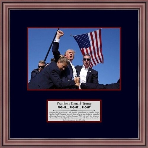Donald J Trump - 45th President -Fight Fight Fight Rally Photo -Framed ...