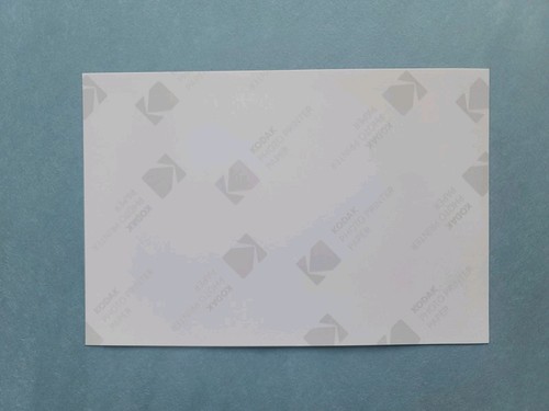 Rina Women's Pro Wrestling Photograph 4x6" Portrait Stardom Joshi ...