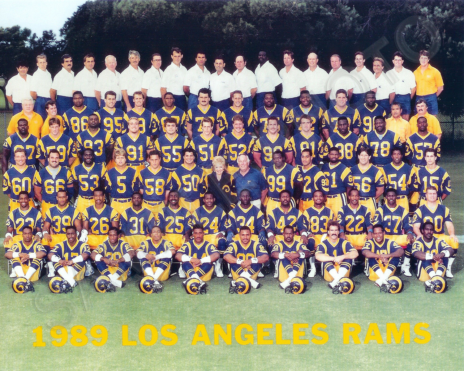 1989 LOS ANGELES RAMS NFL FOOTBALL 8X10 TEAM PHOTO | eBay