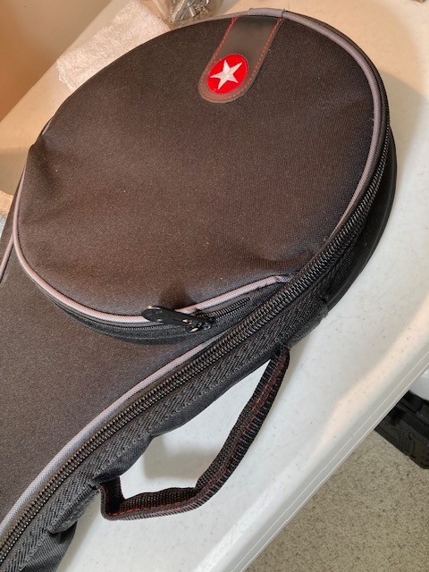 mandolin case | eBay