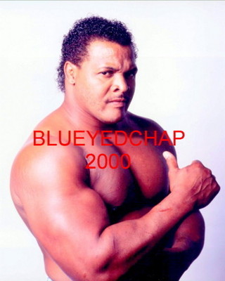 BUTCH REED WRESTLER 8 X 10 WRESTLING PHOTO WWF WCW | eBay
