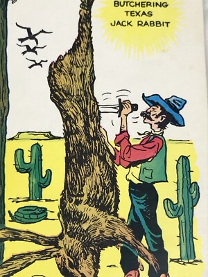 Texas Jack Rabbit Butchered By Cowboy Postcard Vintage Cartoon Humor ...