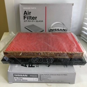16546-30P00 Nissan Air cleaner element 1654630P00, New Genuine OEM Part ...