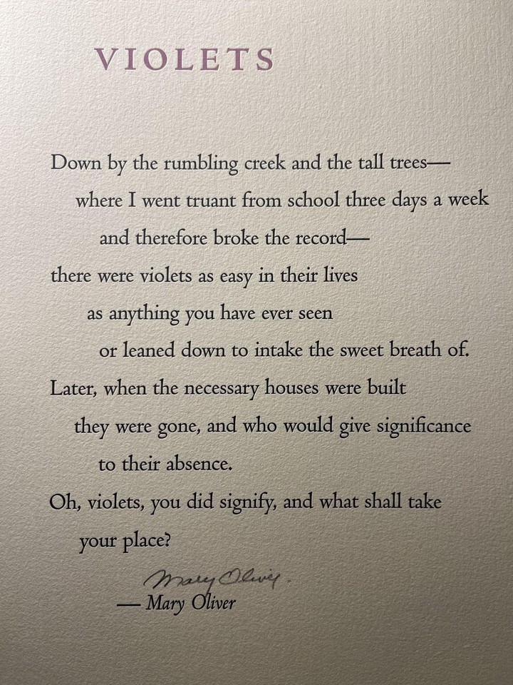 Mary Oliver, signed / Violets a broadside 1st Edition 2009 | eBay