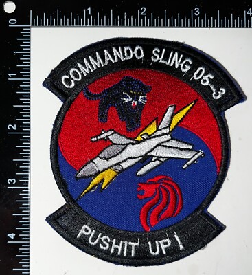 USAF 35th Fighter Squadron Commando Sling 05-3 Push It Up ! Patch | eBay