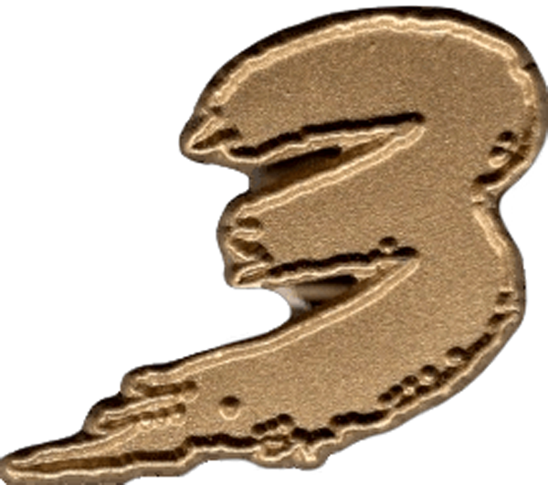 NOAC 2024 Nawakwa Lodge 3 OA Flap Order Arrow Patch Pin Heart Virginia ...