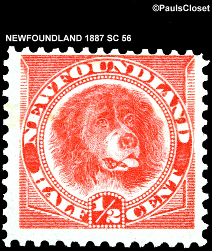 NEWFOUNDLAND 1887 SC 56 NEWFOUNDLAND DOG ROSE RED ½¢ MHR F/VF | eBay