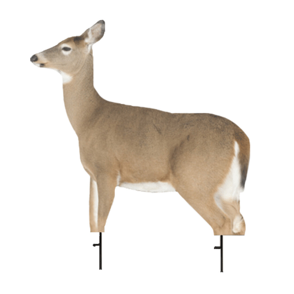 Montana Decoy Whitetail Dreamy Doe Decoy 851234000232| eBay