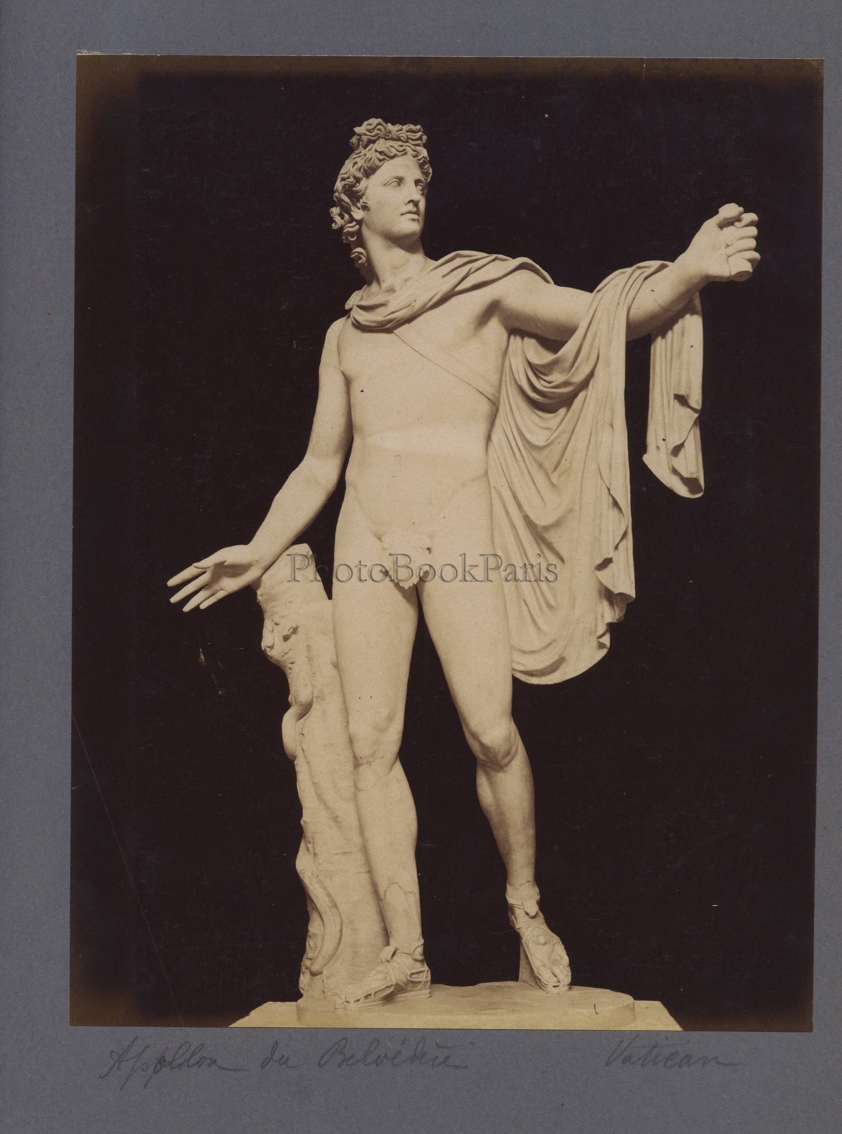 Apollo Belvedere Sculpture Marco Brutus Rome Italy Greece 2 Photos ...
