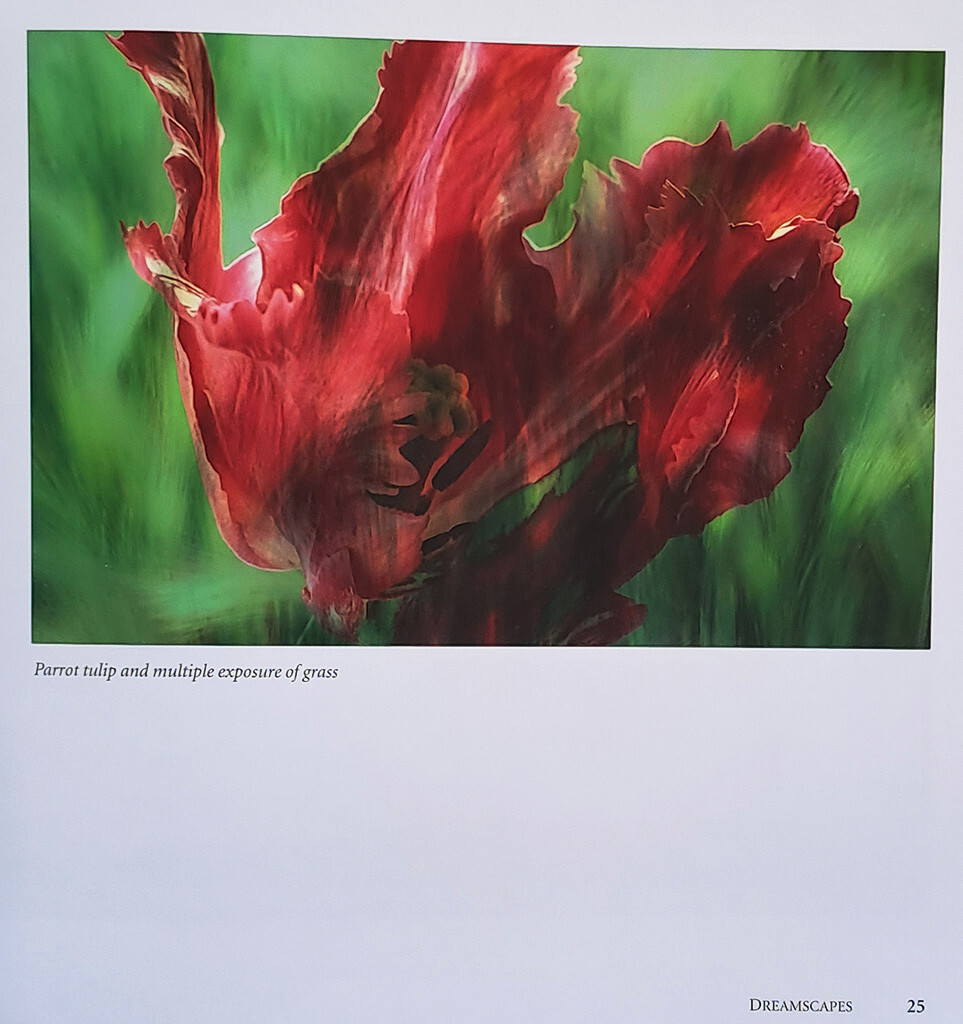 Dreamscapes: Exploring Photo Montages By Andre Gallant | eBay Australia