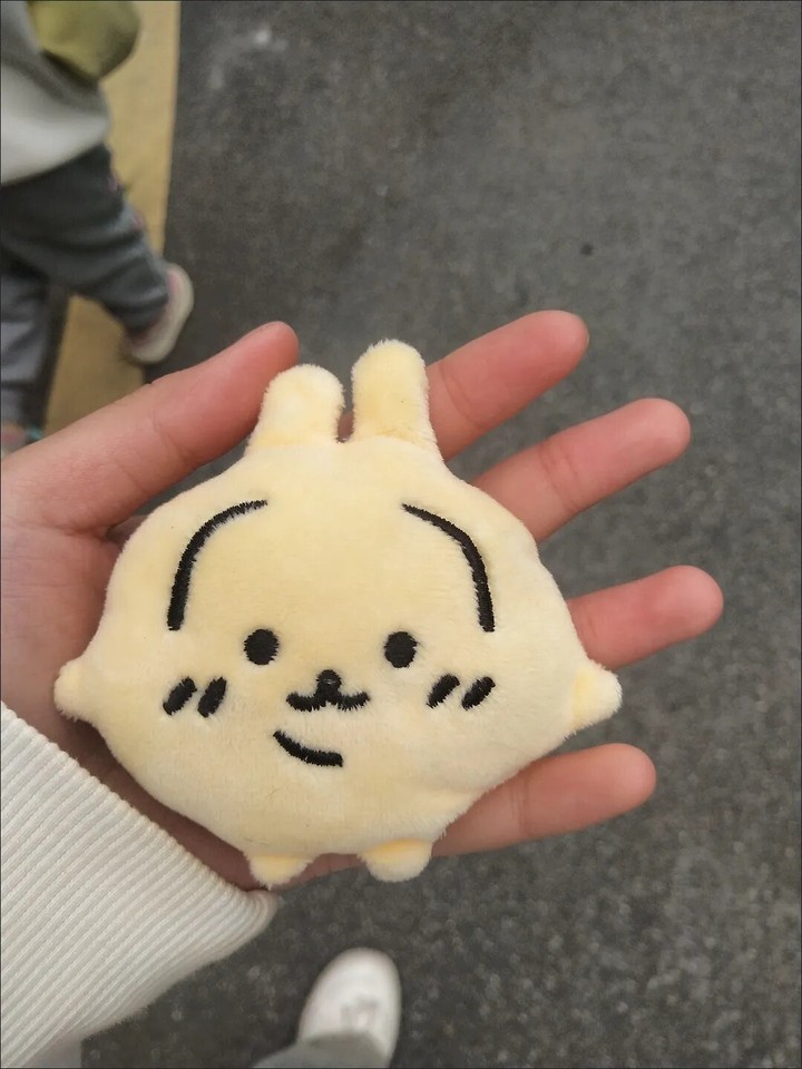 Cute Chiikawa Usagi Plush Doll Anime Doll Keychain Pendant Toy Gift | eBay