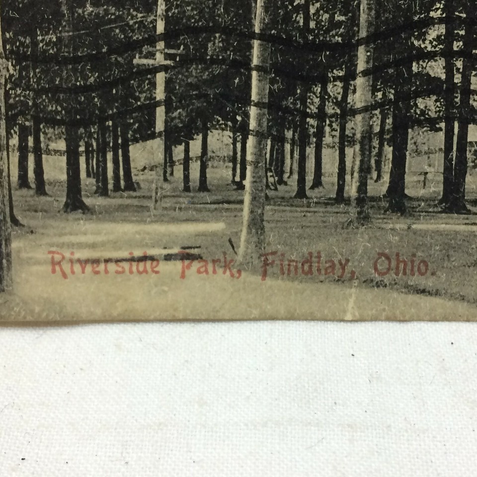 Vintage Postcard Riverside Park Findlay Ohio Nature Scene Jackson | eBay