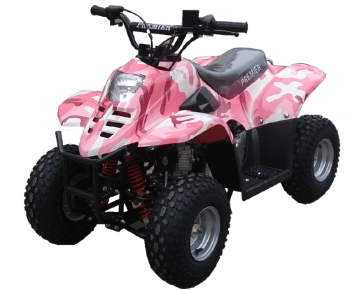 PEACE SPORTS KID ATV TPATV501 70CC 90CC 110CC LEFT SIDE FOOT REST VIN ...