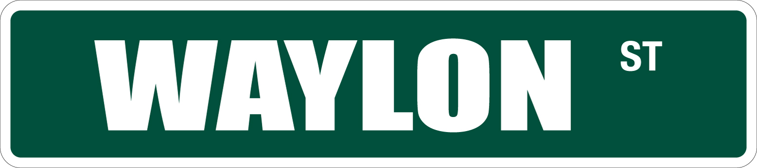 *Aluminum* Waylon 4" x 18" Metal Novelty Street Sign SS 3663 | eBay