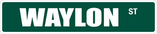 *Aluminum* Waylon 4" x 18" Metal Novelty Street Sign SS 3663 | eBay