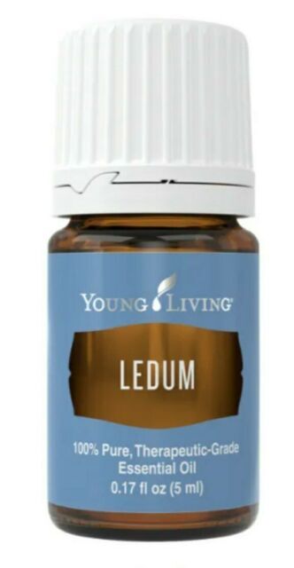 Young Living Essential Oils Ledum Essential Oil - 0.17 fl oz for sale ...