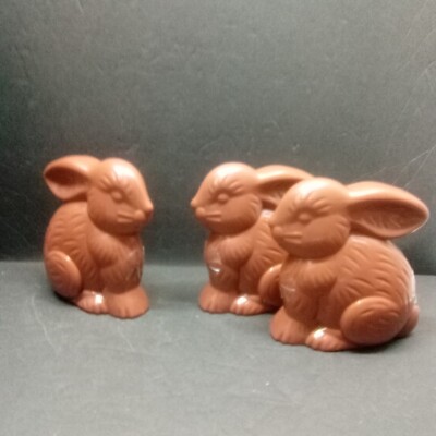 3 Faux Chocolate Rabbit Plastic Container for Candy, Gift Cards, Treats ...