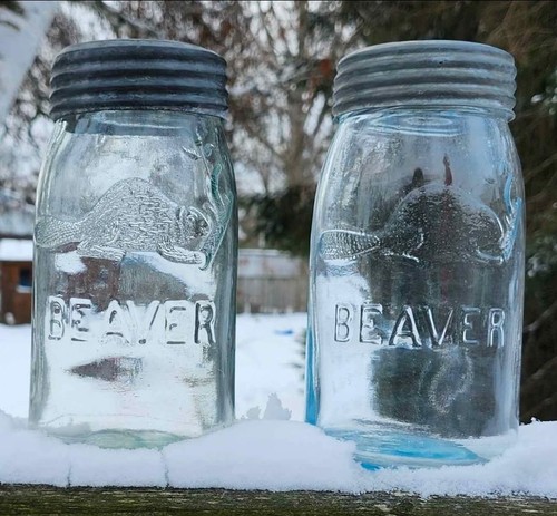 "A" High Back BEAVER Blue Green Glass Canning Sealer Mason Fruit Jars ...
