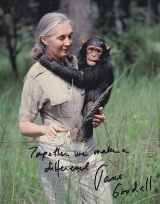 Jane Goodall signed 8x10 photo JSA | eBay