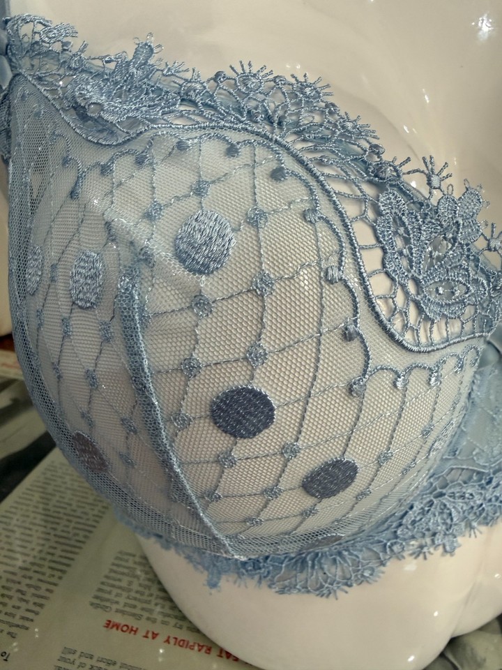 Dita Von Teese lace bra 12F lingerie 34F 90G 75G | eBay Australia