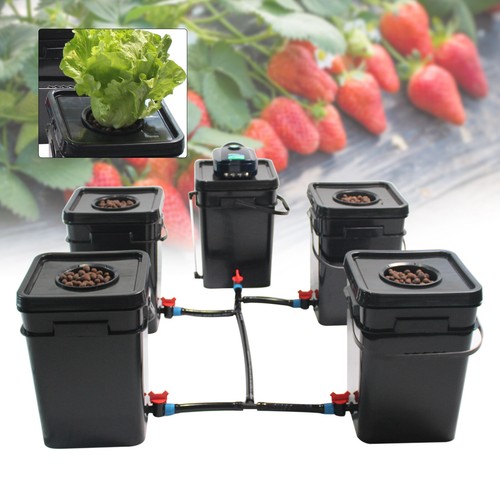 Hydroponics 20L Growing System Dutch Buckets DWC Completed System ...