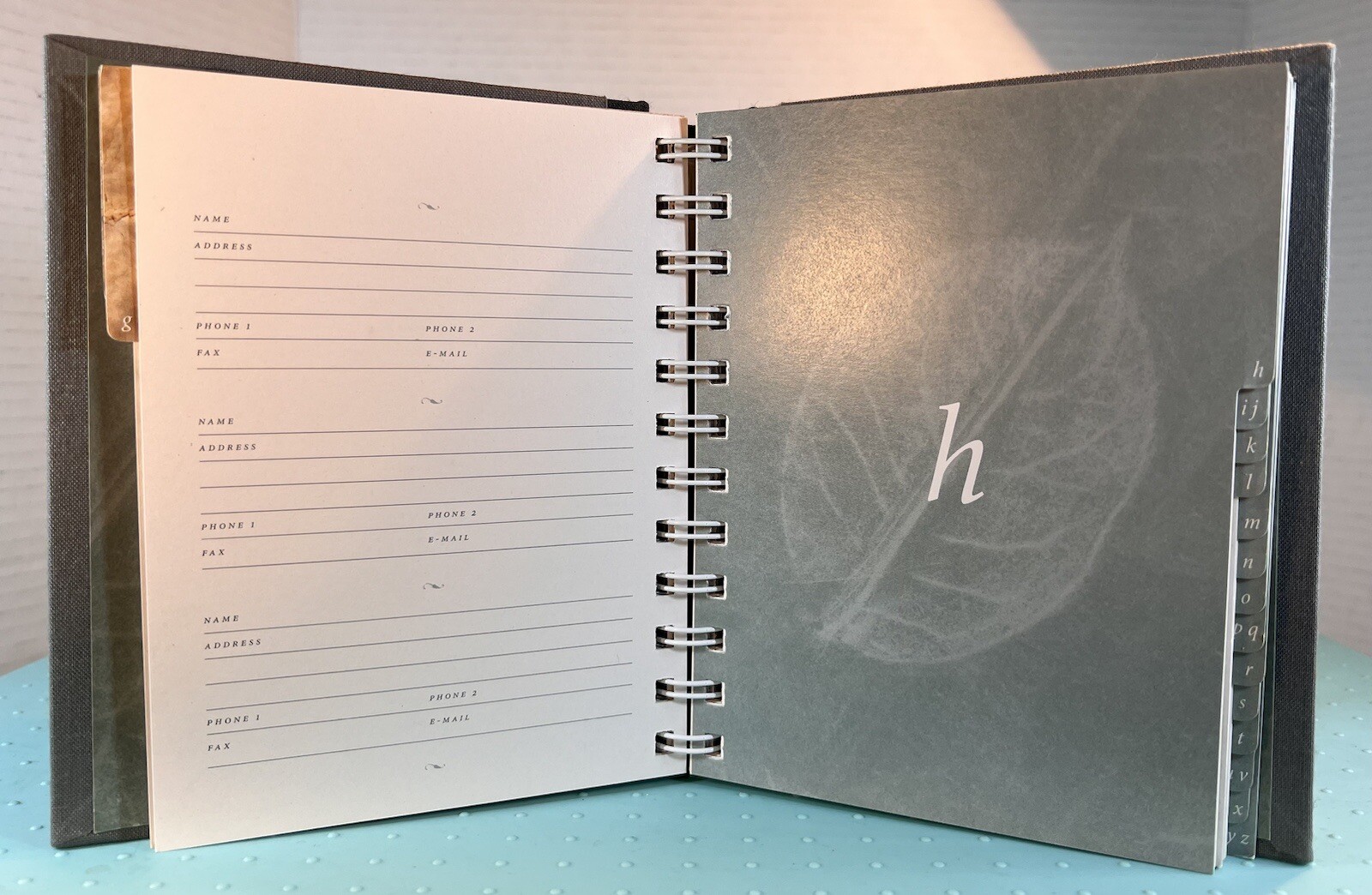 Chronicle Books Roses Address Book Photos Thea Schrack Design Simone ...