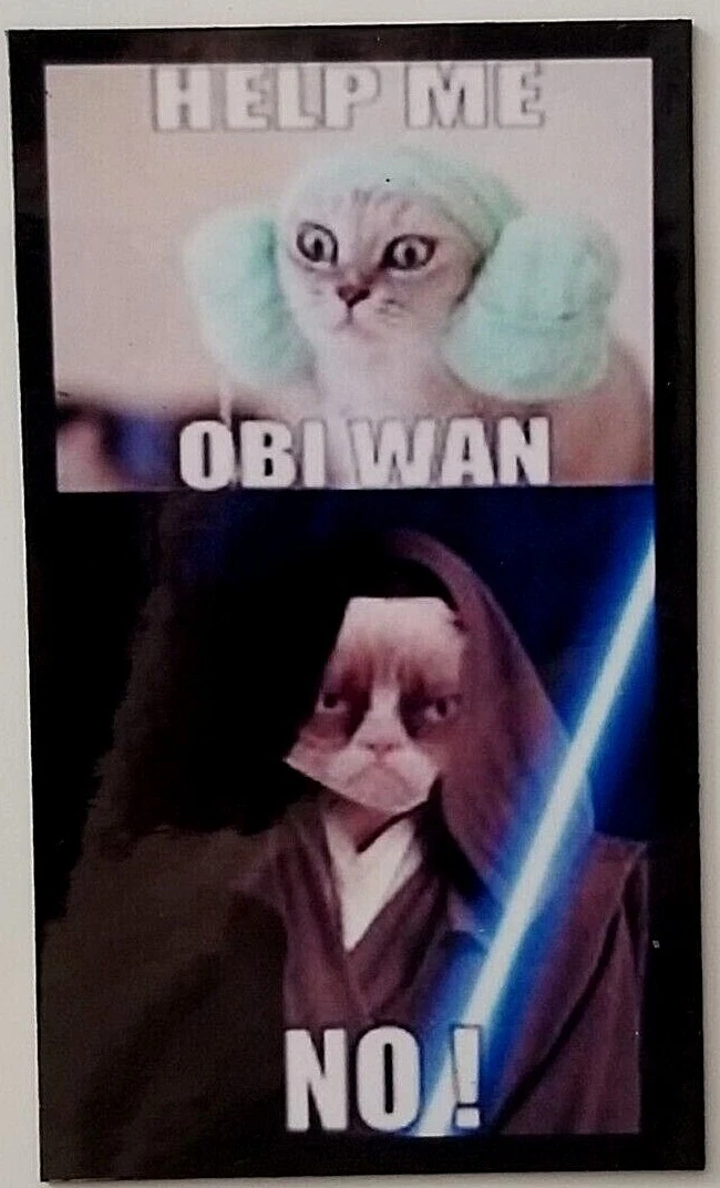 Star Wars Grumpy Cat