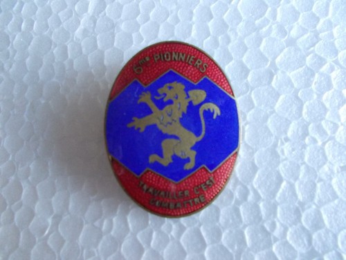 insigne militaire :6°Régiment de pionniers TRAVAILLER C'EST COMBATTRE ...