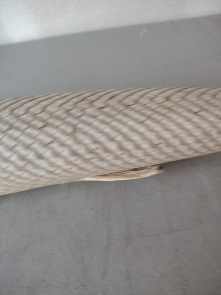 Real Spotted River Gar Fish Skin and Head Taxidermy | eBay