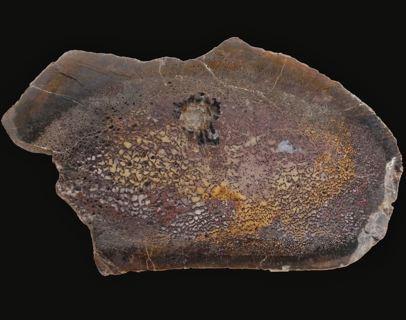 DINOSAUR GEMBONE Fossil Pink/Yellow cells & Smokey Quartz 4.8" / 122mm ...