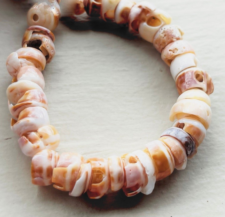 da Hawaiian Store Natural Cone Puka Shell Stretch Bracelet (Choose ...