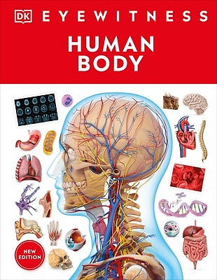 Eyewitness Human Body Dk Hardcover 9780744079920| eBay