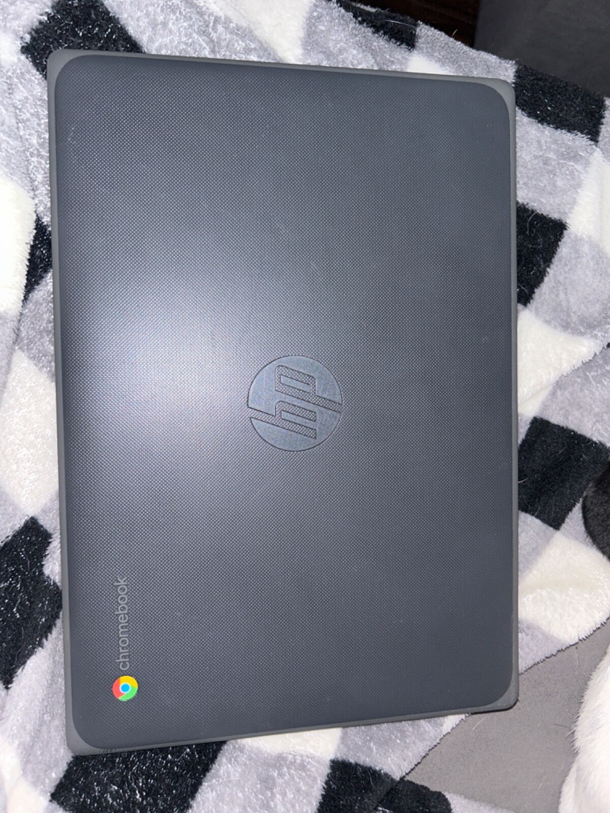 HP 11A G6 EE 11.6 inch (16GB, AMD A4 Dual-Core, 1.60GHz, 4GB ...