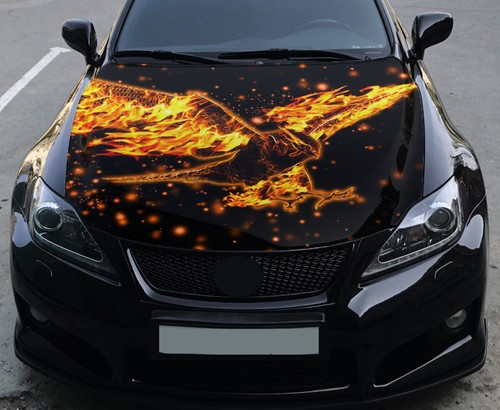 Hawk Car Hood Wrap Vinyl Decal Full Color Graphics Predator Bird ...